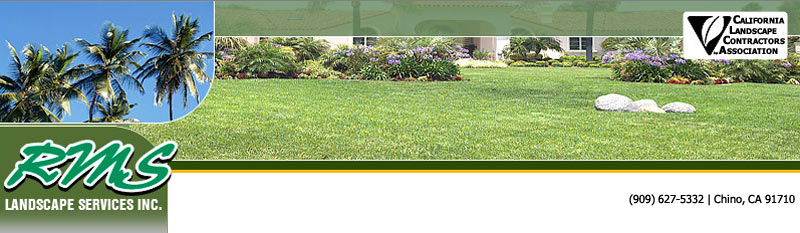Landscaping - Riverside, Rancho Cucamonga, San Bernardino, Chino ...